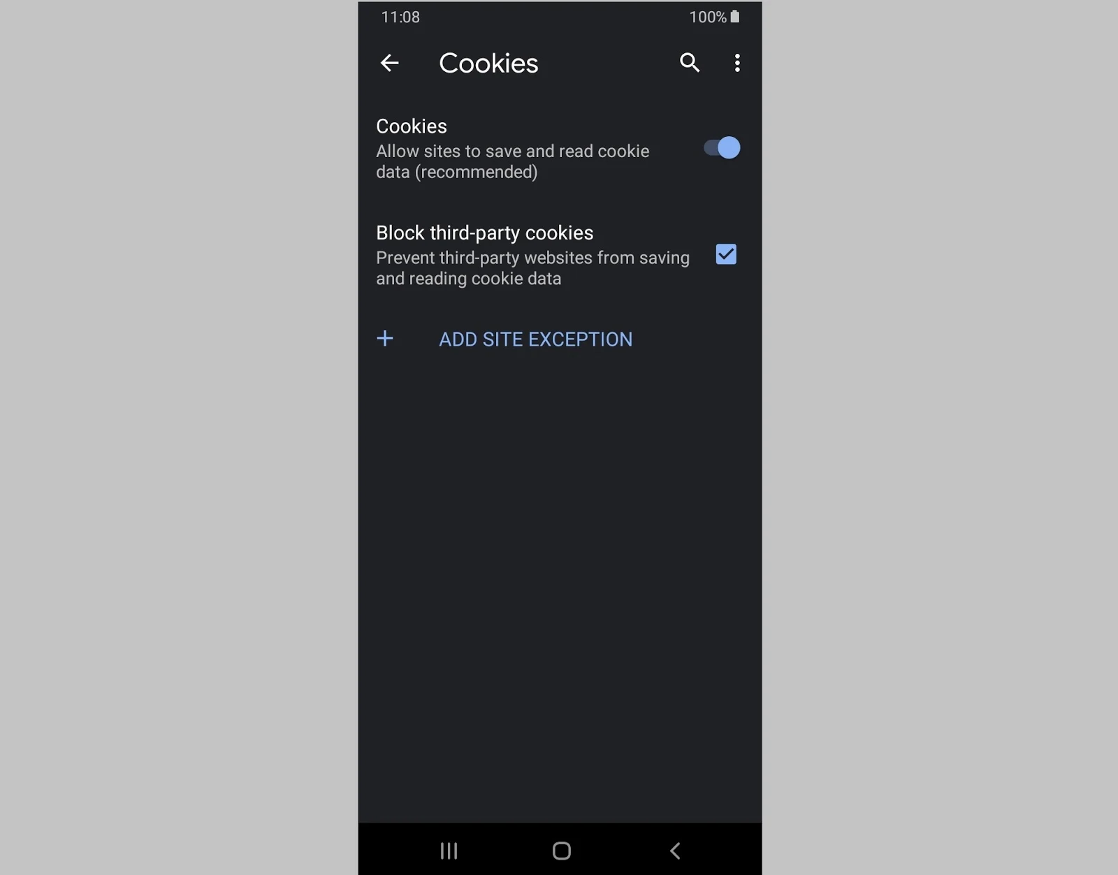 Strengthen Your Privacy With New Cookie Settings in Google Chrome