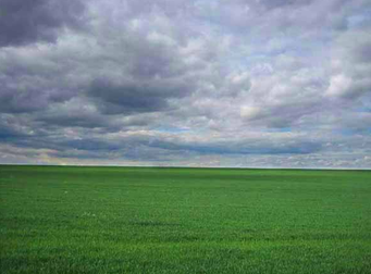 The Sim City Planning Guide: Large and Flat Maps