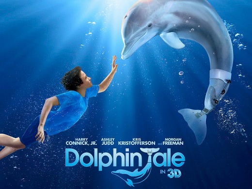 "Dolphin Tale" : The Incredible Story of Winter the Dolphin ~ Best ...
