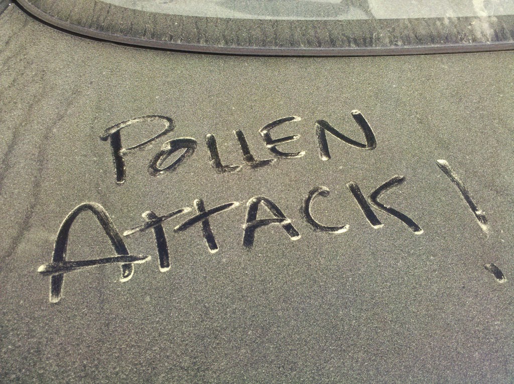 CAS Station: Is your car covered in pollen? We can help.