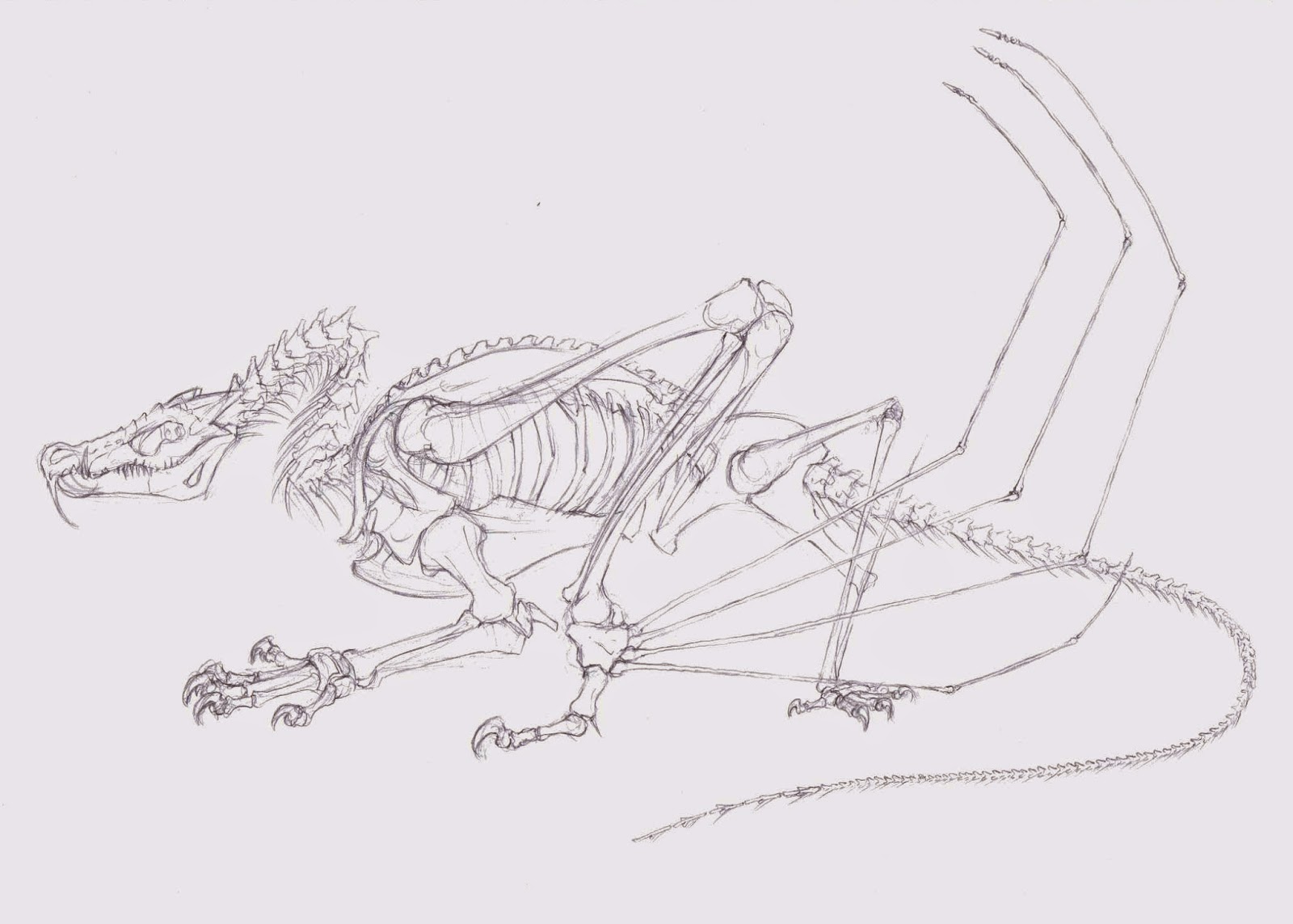 Computer Arts 4th Year - Honours: Creating Realistic Dragons