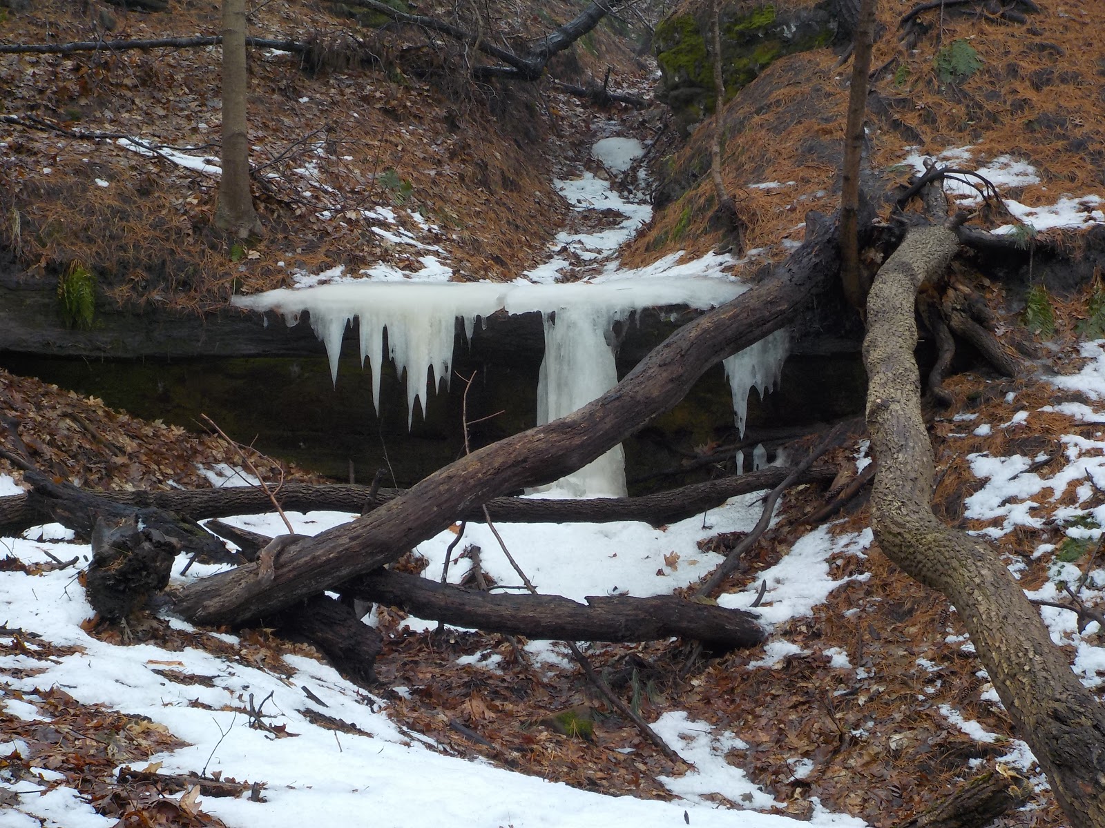 Hike Starved Rock: Starved Rock Nature Preserve 02-07-2019