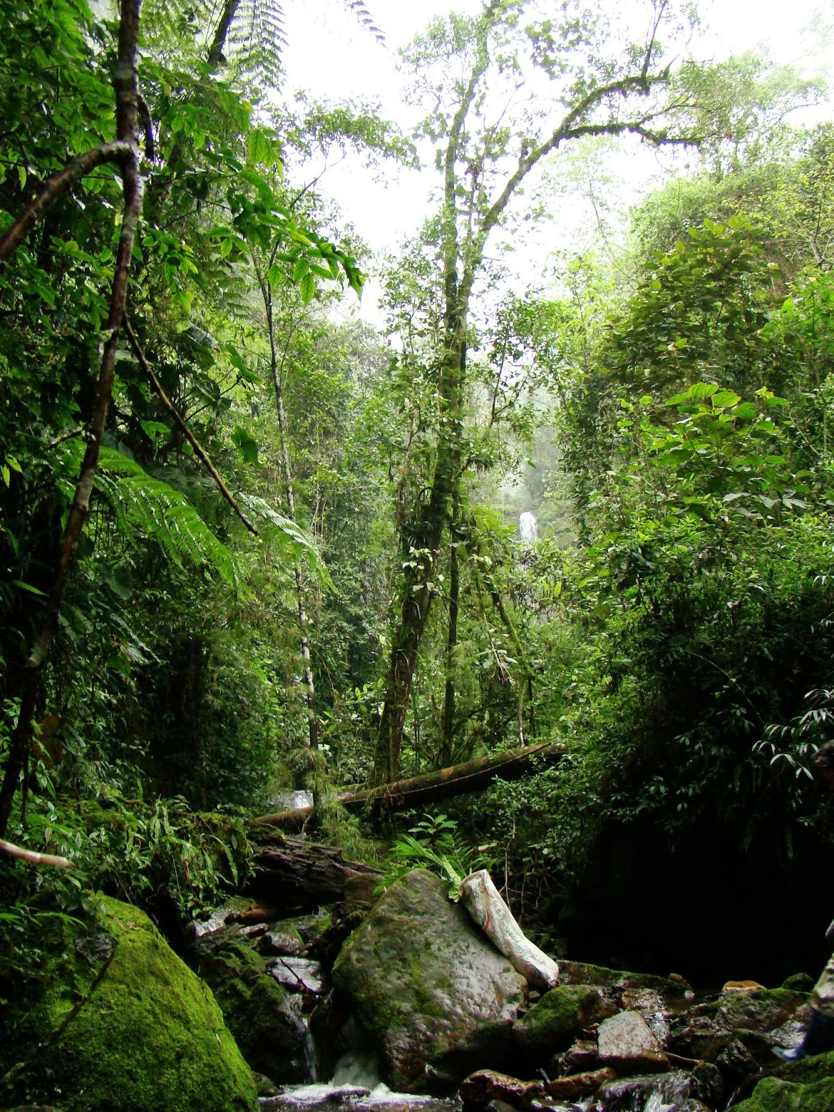 Amigos de la naturaleza en Supata: QUE OFRECE SUPATA
