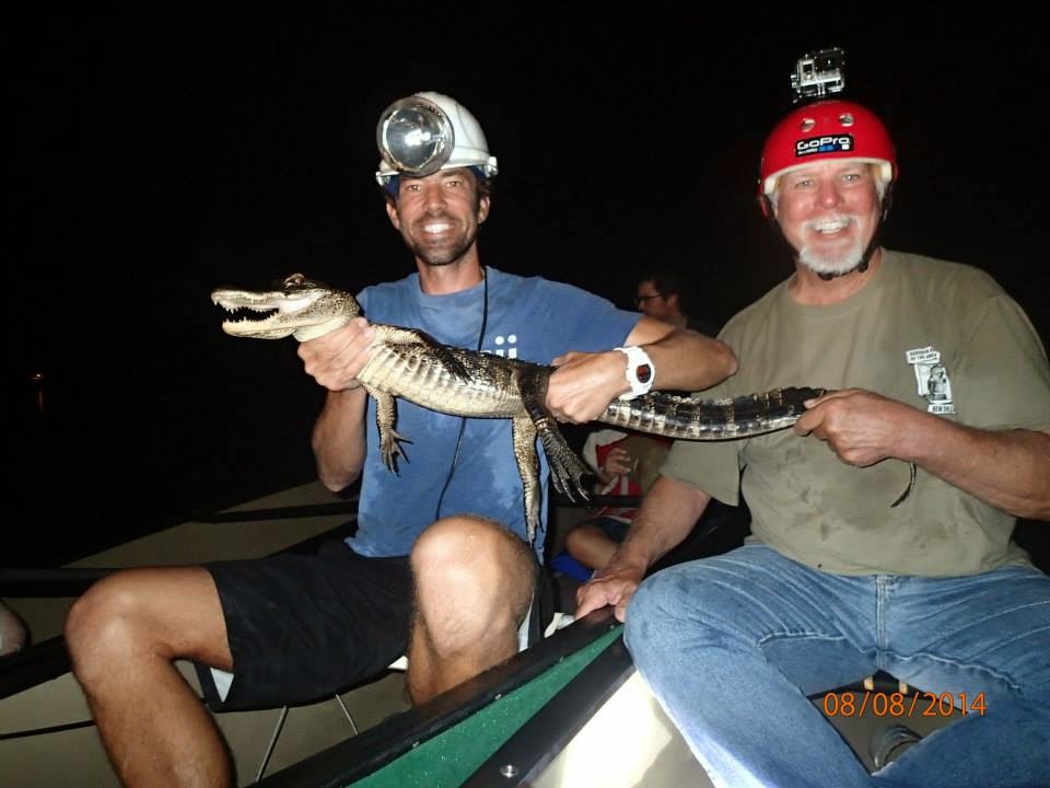 Capturing the Moment: Alligator Catching in Savannah