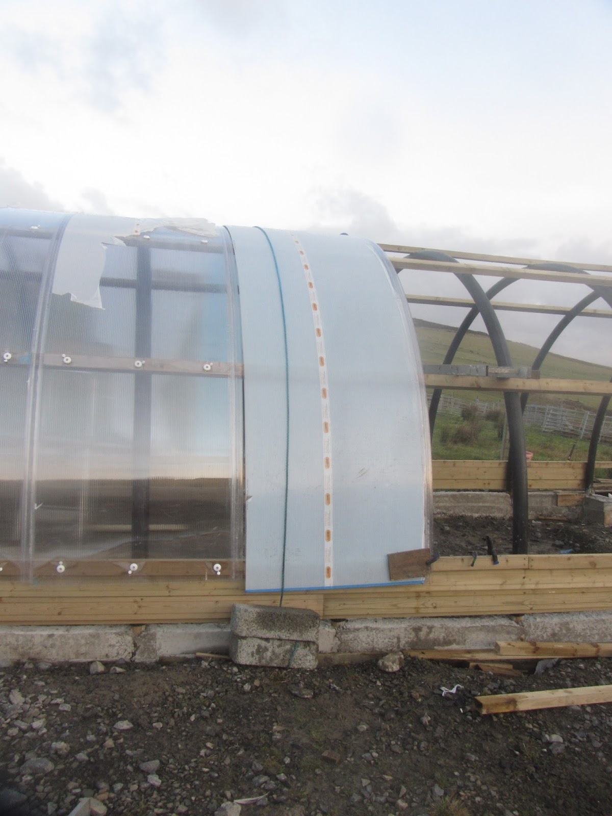 Us in Orkney: Polycrub part4 :Sheets