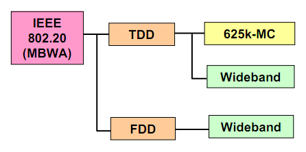 IEEE Standard 802.20 MBWA Mobile Broadband Wireless Access : MBWA ...
