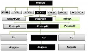 CREDIT UNION NYAI ANTA NANGA TAMAN : STRUKTUR ORGANISASI CREDIT UNION ...