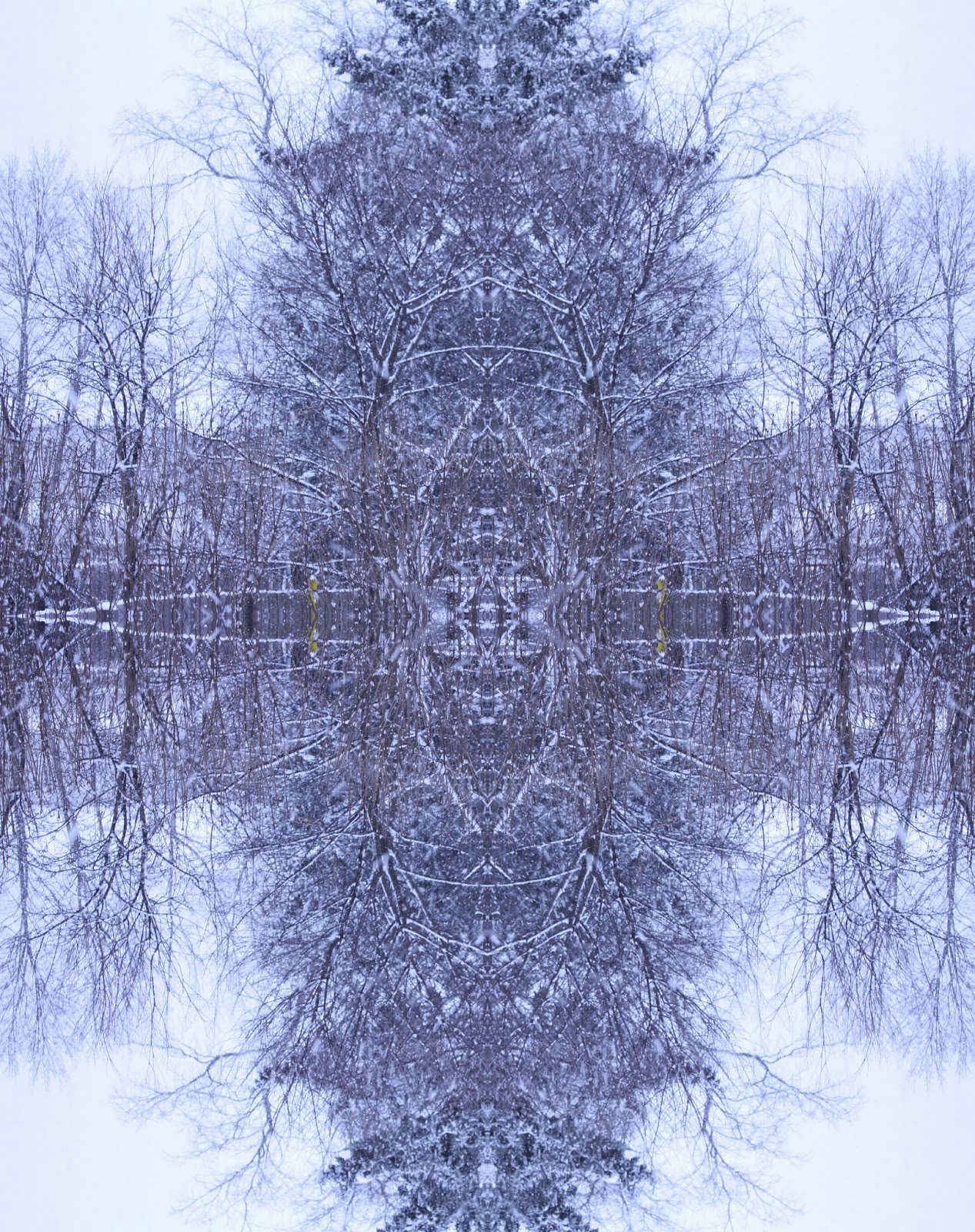 Barbara's Thought of the Day: How to Make a Symmetrical Image in ...