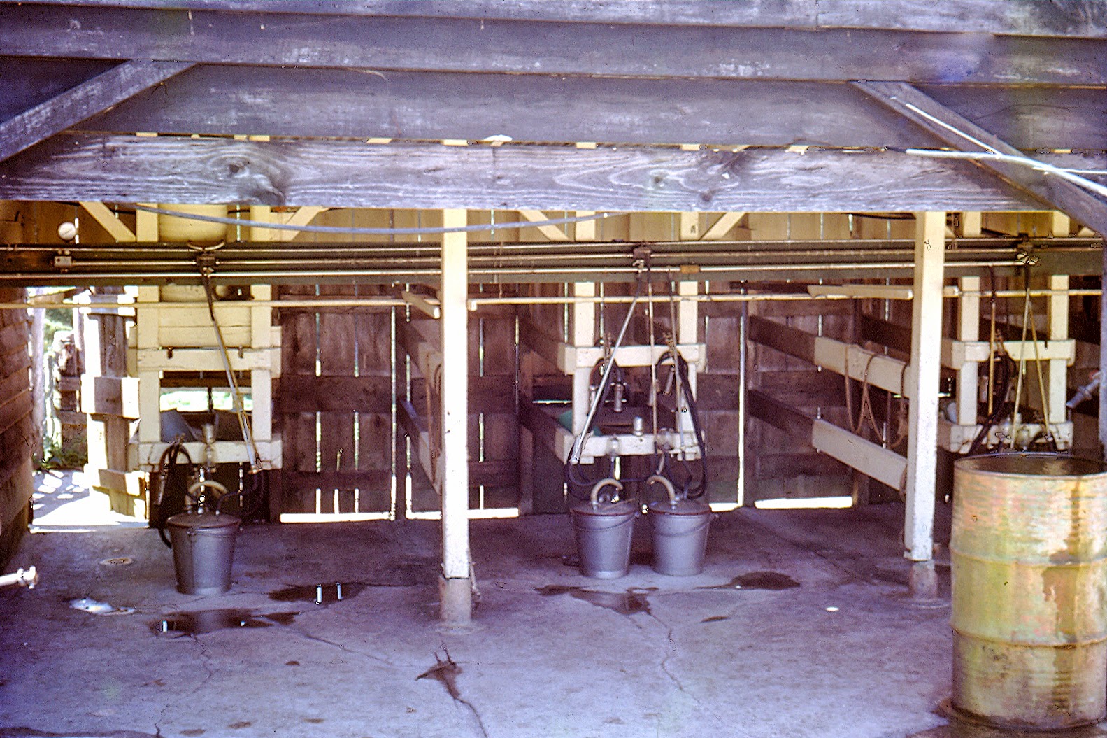 Woolshed 1: August 2014