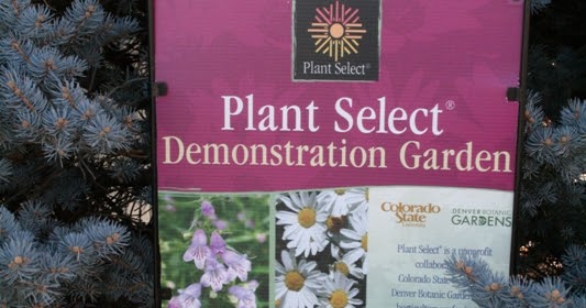 The Flower Bin: Plant Smart with Plant Select®