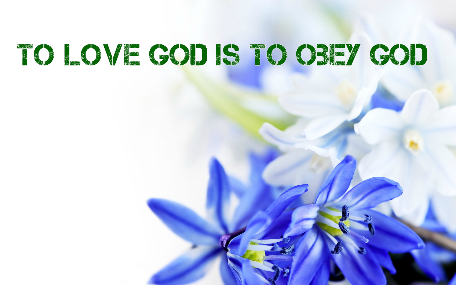 Praises and Prayers: Just Obey!
