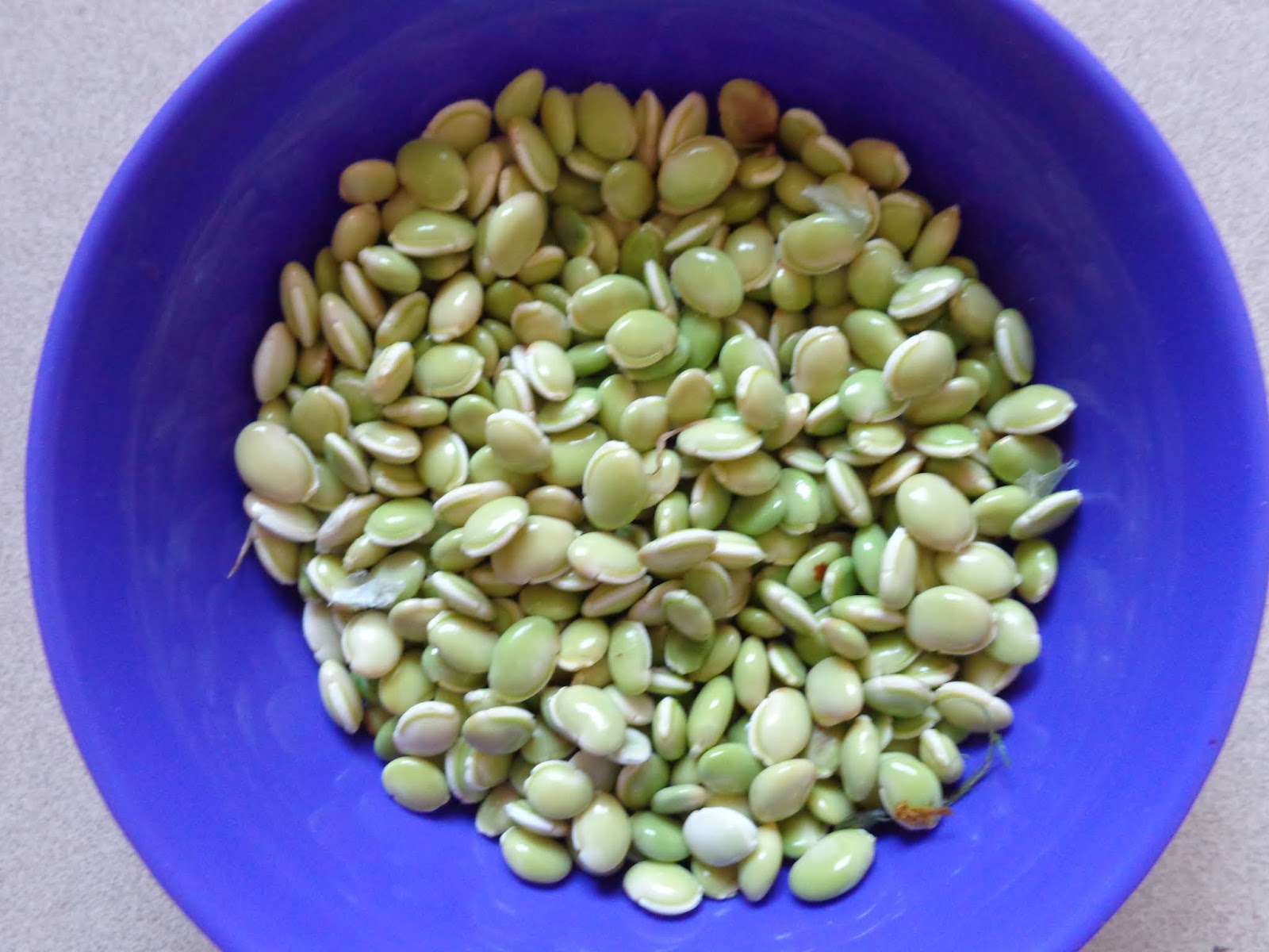 Cooking With Shobana : AVAREKALU SAARU