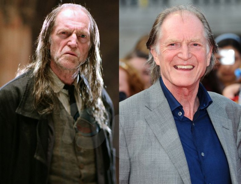 The Cast Of Harry Potter: Where Are They Now? - Lifestyle and Celebrity ...