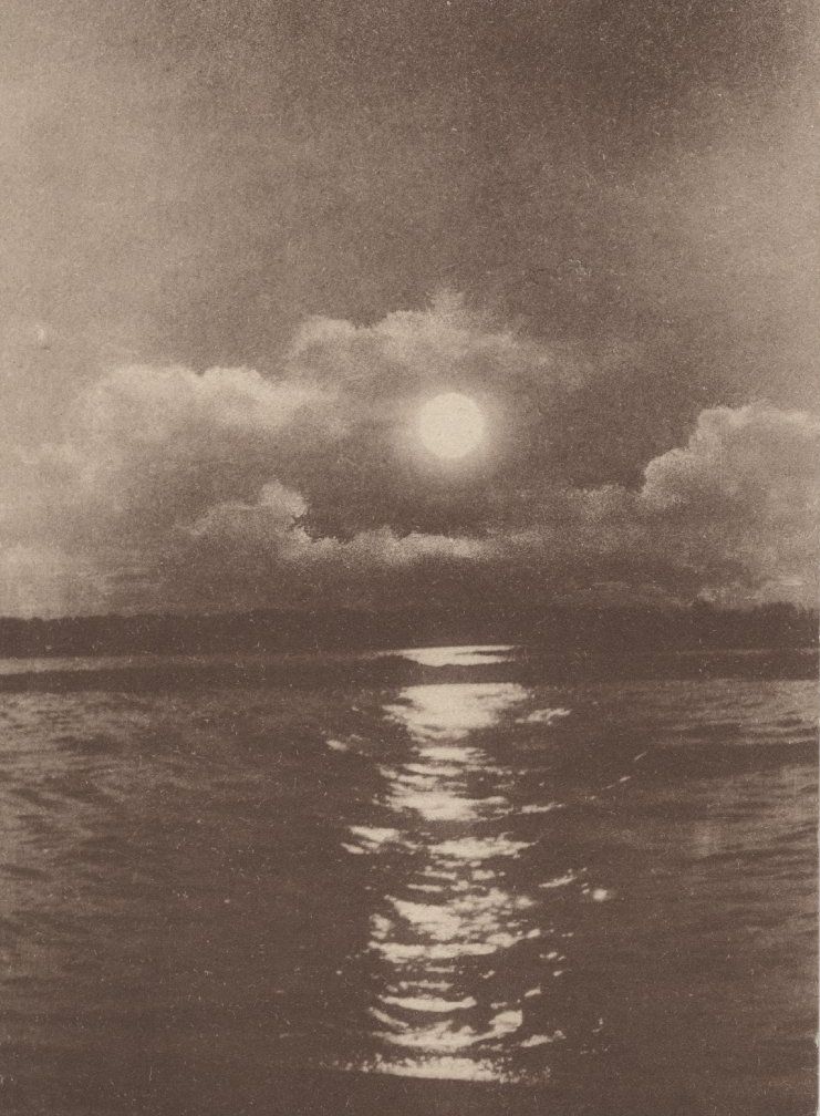 Future Plants by Randy Stewart: Bruce Peninsula of Ontario, Canada