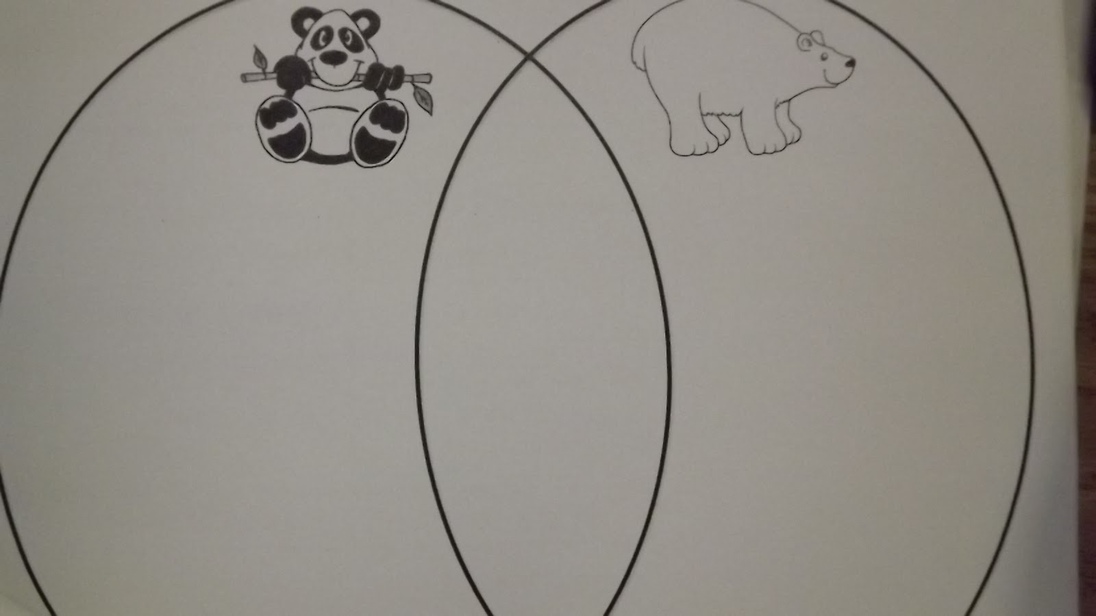 From Cover to Cover: A Blog about Children's Literature : Giant Pandas