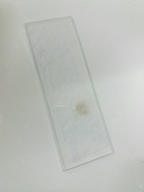 Pengenalan Alat dan Keselamatan Kerja di Laboratorium Mikrobiologi