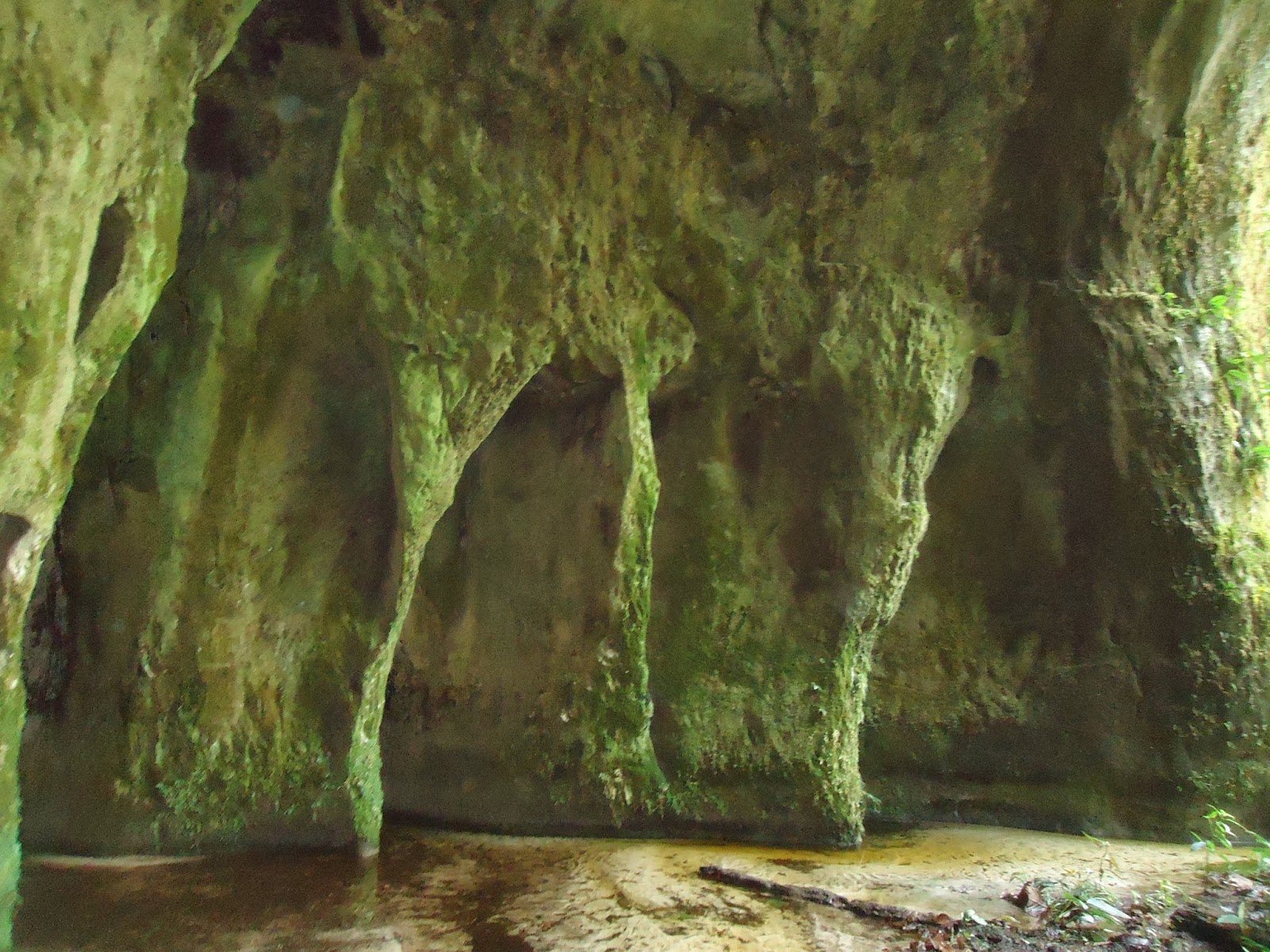 Geo Mistura: Caverna Refúgio do Maroaga e Gruta da Judéia, Presidente ...