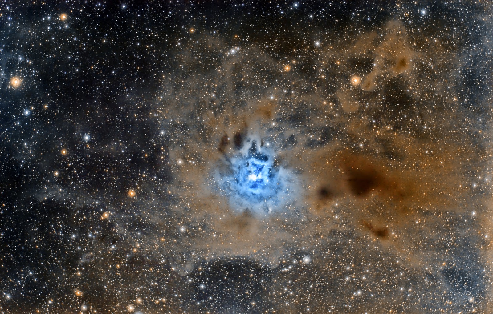 El cielo de Ocentejo: NGC 7023 Nebulosa Iris