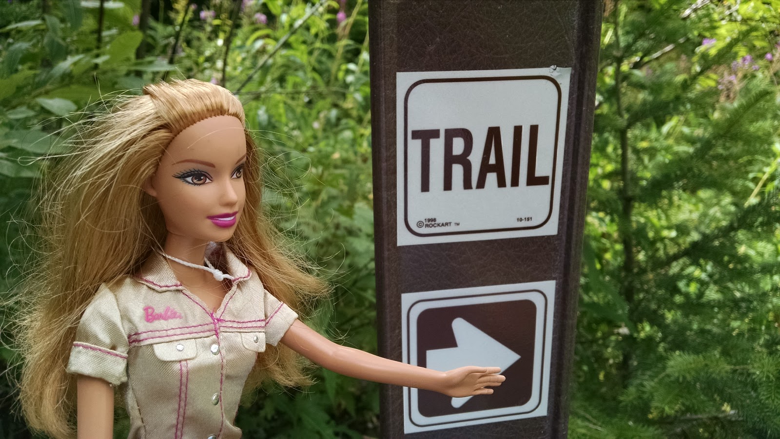 Silver Valley Stories: Physical Challenge 2014--Experiencing "Flow ...