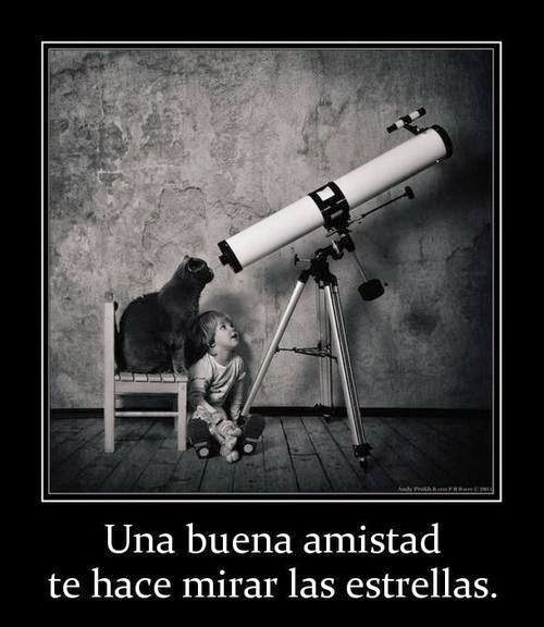 Imagenes de amistad incondicional | Bonitas imagenes y frases de amor