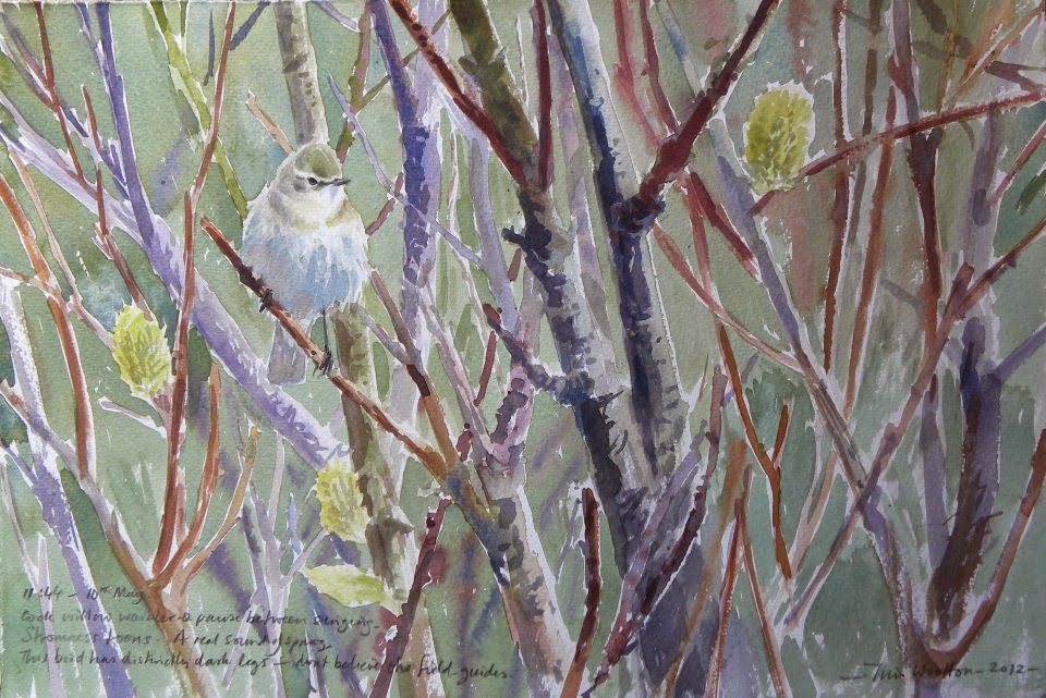 Tim Wootton Wildlife Art