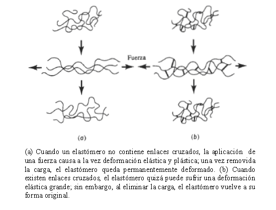 Los Elastómeros o Cauchos | Elastómeros - Hules Sintéticos