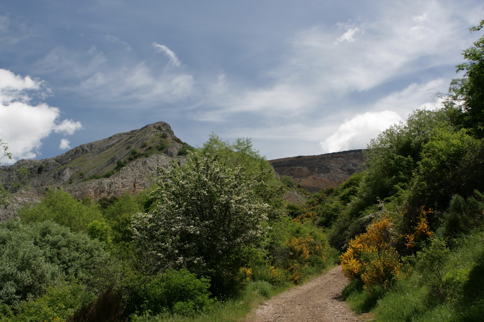 naturaleza en asturias: Faedo: el ecotono