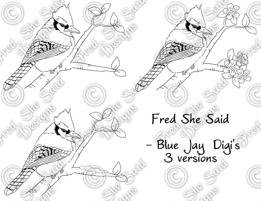 Fred, She Said Designs .... The Store: Blue Jay