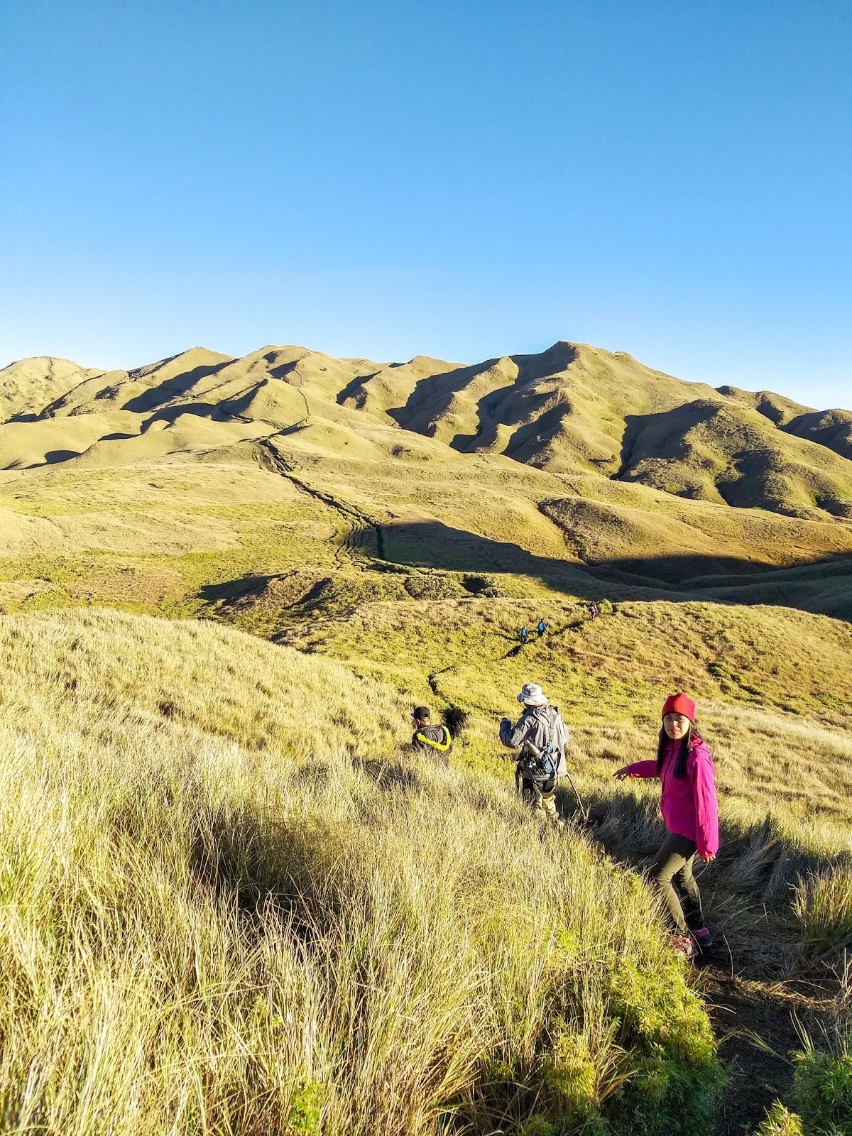 TravelBudDear: Luzon 321 (Timbak-Tabayoc- Pulag)