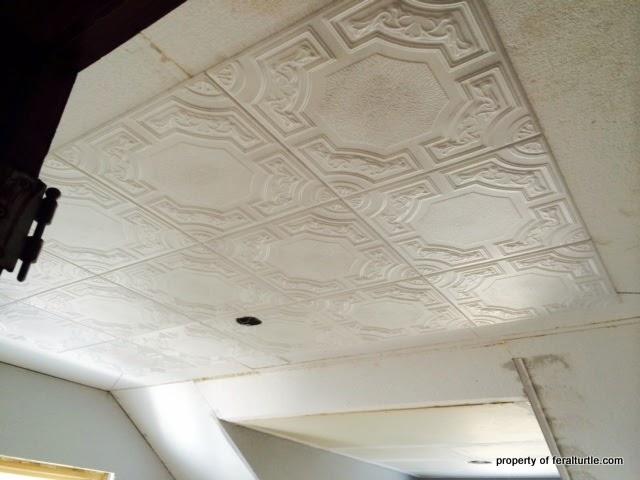 The Feral Turtle: Dormer Ceiling Part 16
