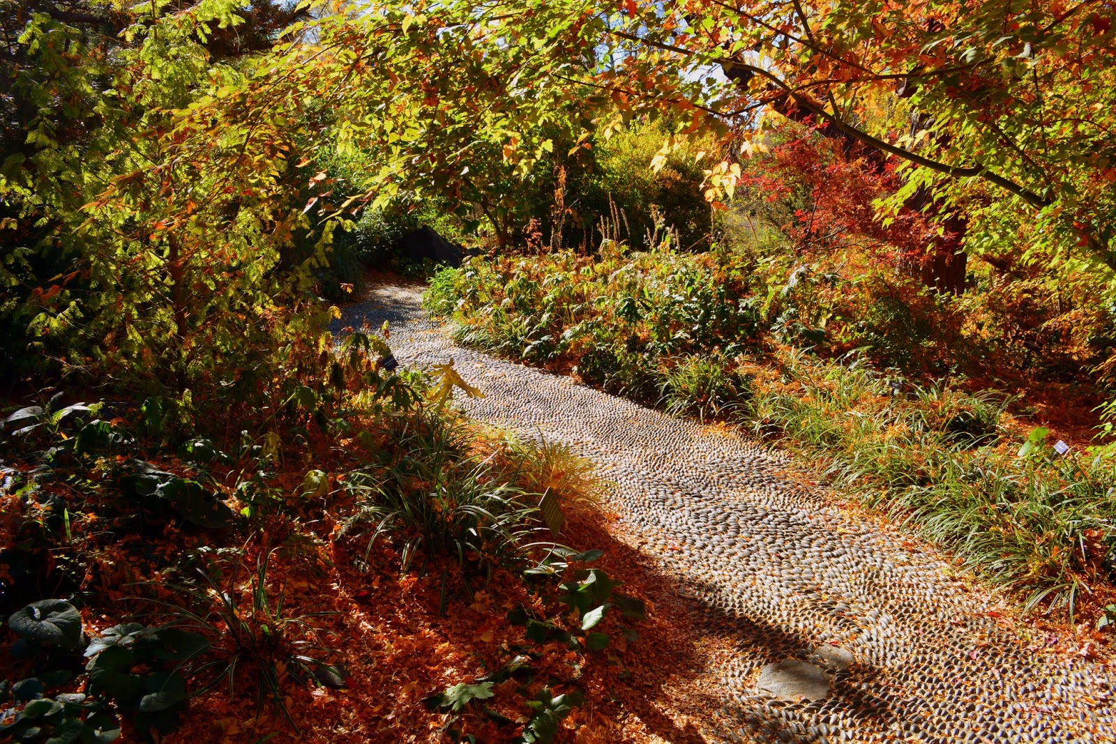 Mille Fiori Favoriti: The Denver Botanic Garden in Autumn