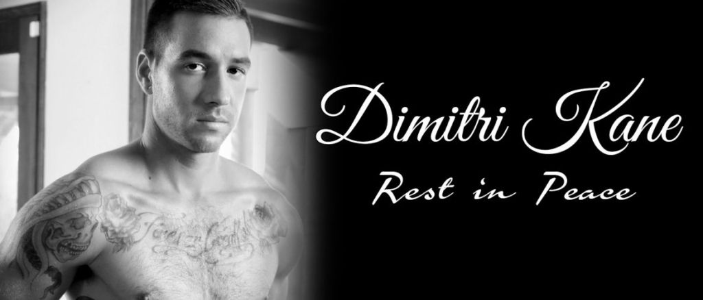 Remembering The Gay Porn Stars We Loved: PINK THERAPY : If you or ...