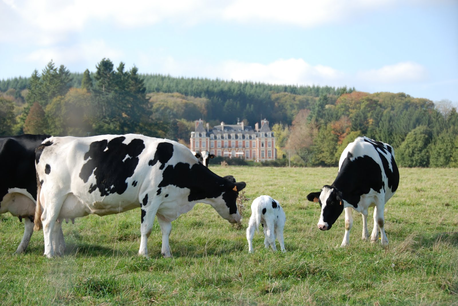 Boerin in Frankrijk: Tijdlijn