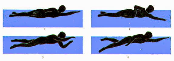 Trudgen - JungleKey.in Image