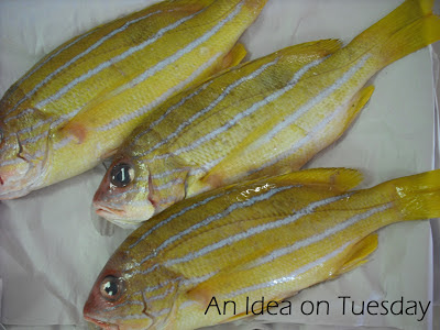 An idea on Tuesday: Fun with Fish