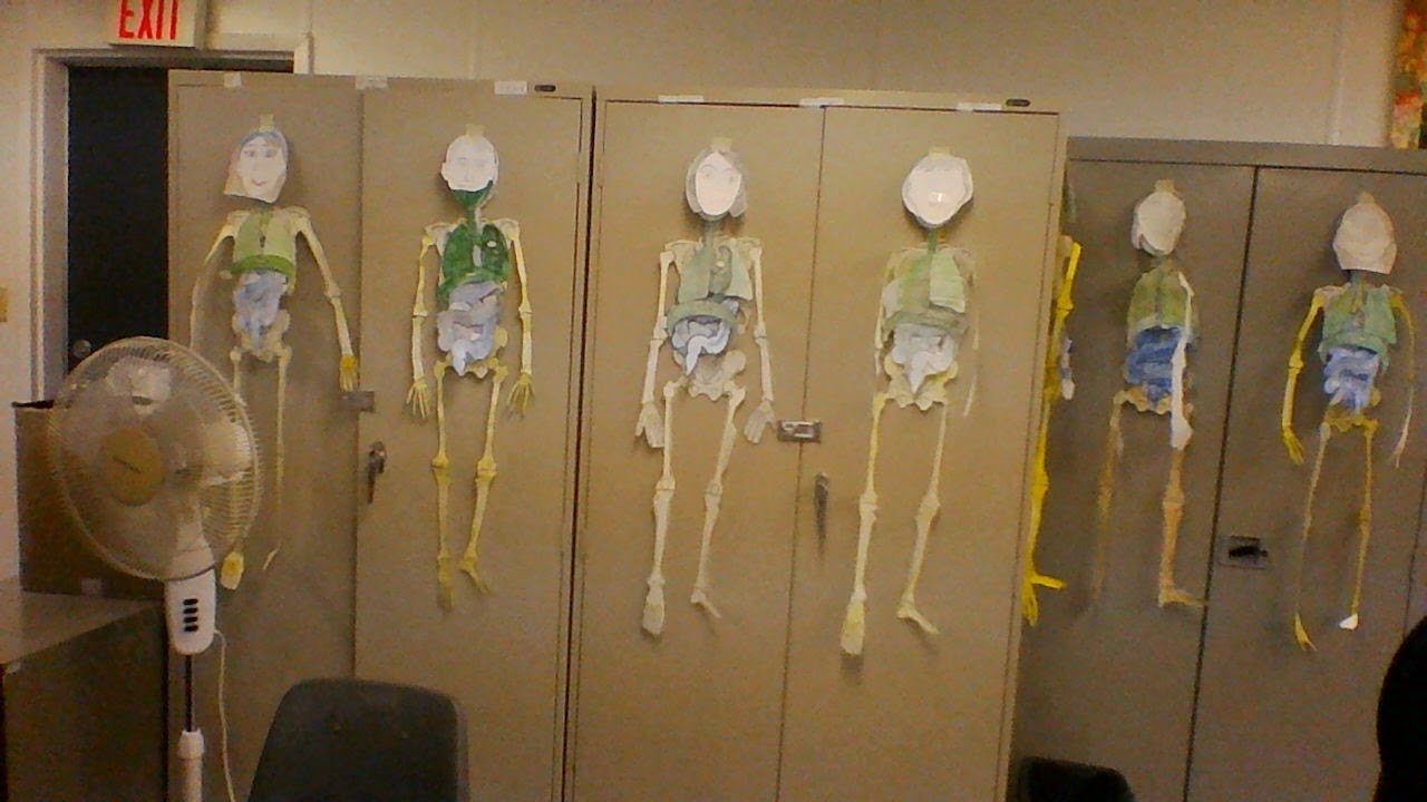 SJA's Grade 6 Blog : Human Body Models