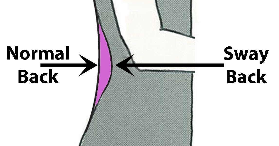 Sure-Fit Designs™ Blog: Sway Back Solution