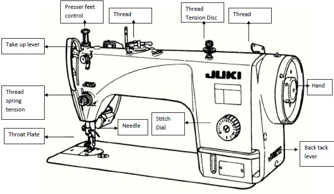 Briefly Description of Single Needle Lock Stitch Machine(SNLS)