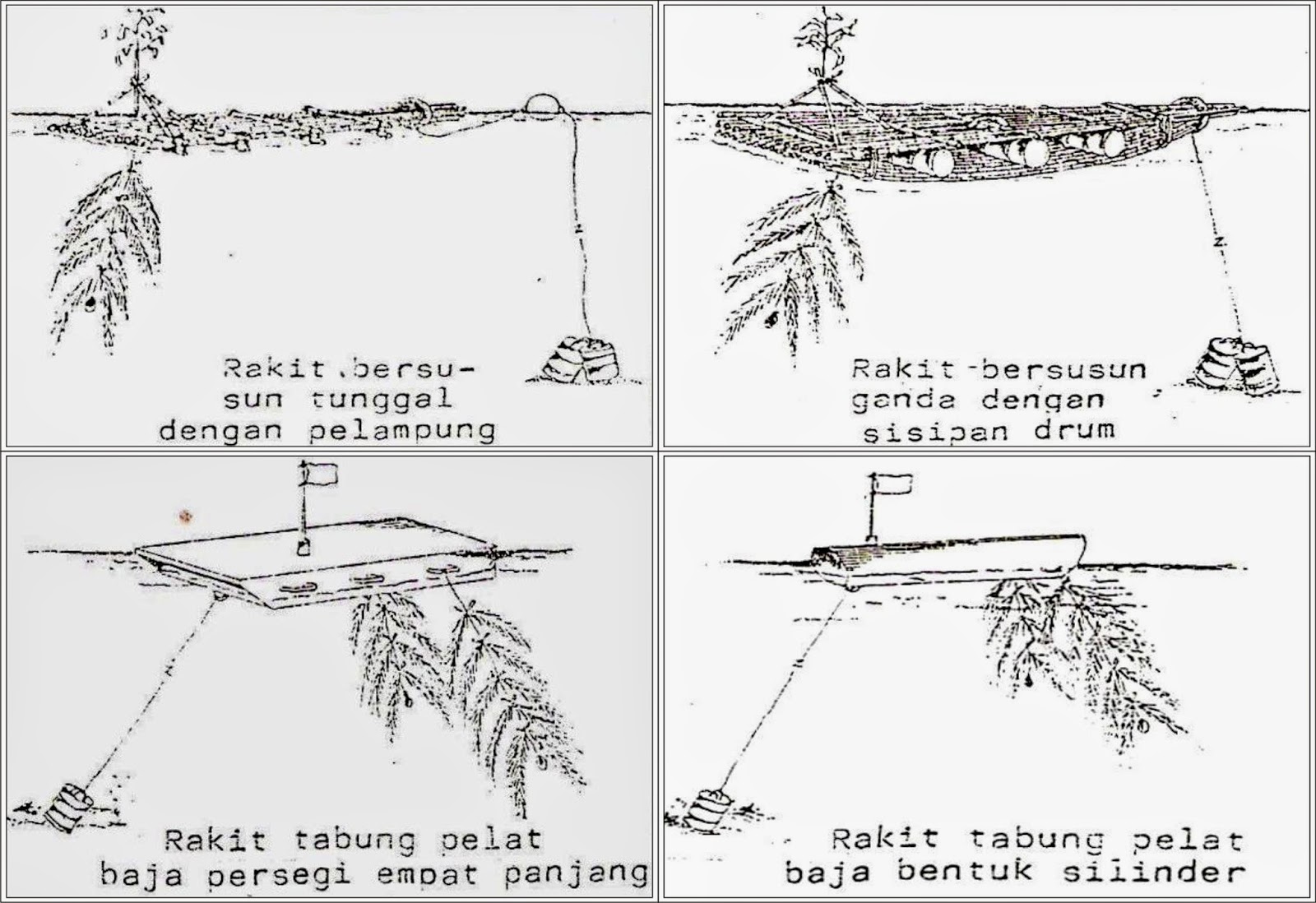 Rumpon atau Payao : Alat Pengumpul Ikan - Lalaukan