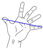 JUEGO DE GARROTE VENEZOLANO. Método de defensa personal.: LA CUARTA