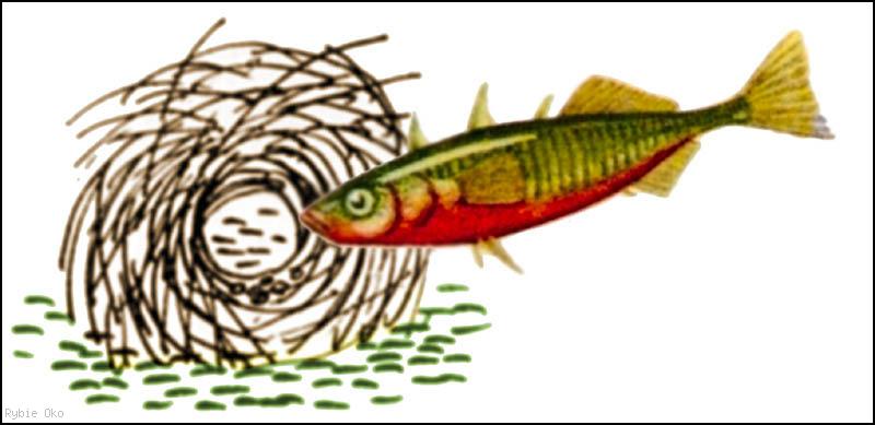 Mitoslavia: sierpnia 2016