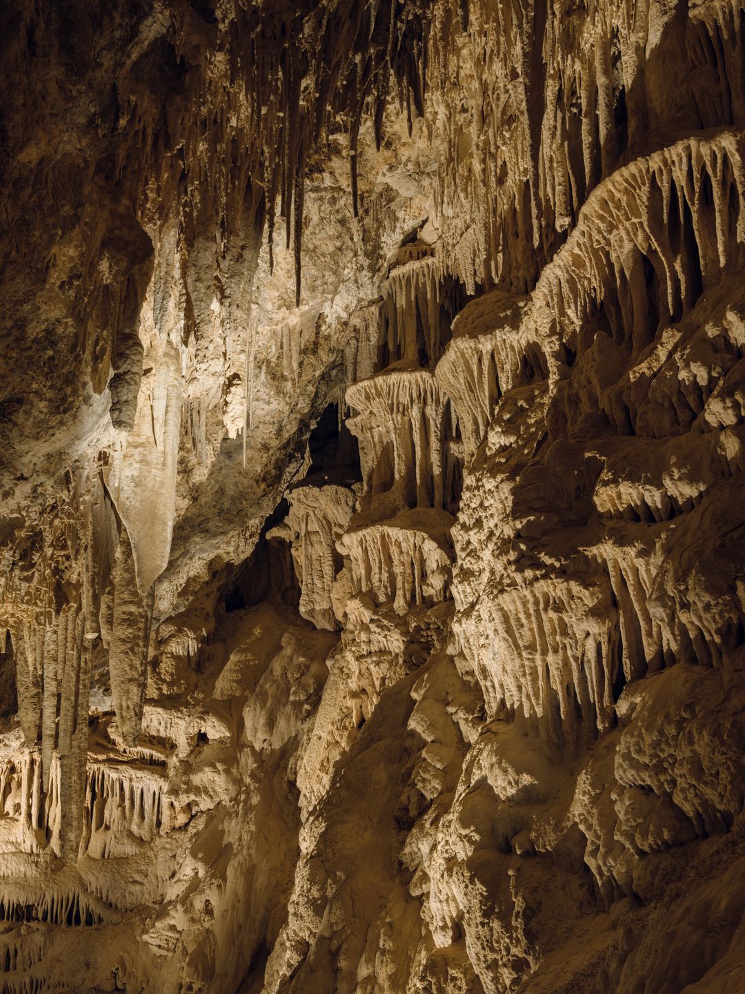 Mojave Desert Archives