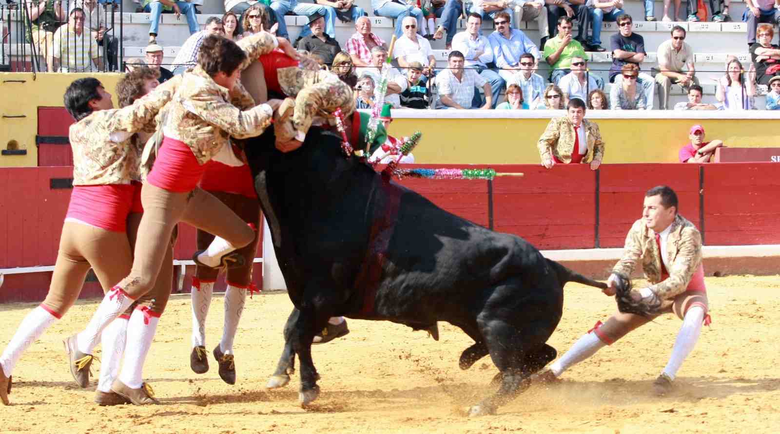 Los Forcados. Historia, valores y curiosidades.