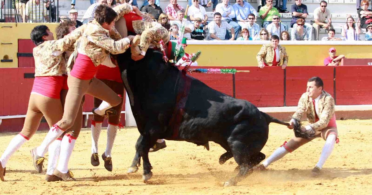 Los Forcados. Historia, valores y curiosidades.