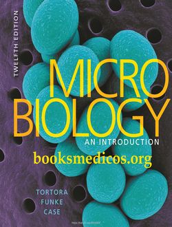tortora | booksmedicos