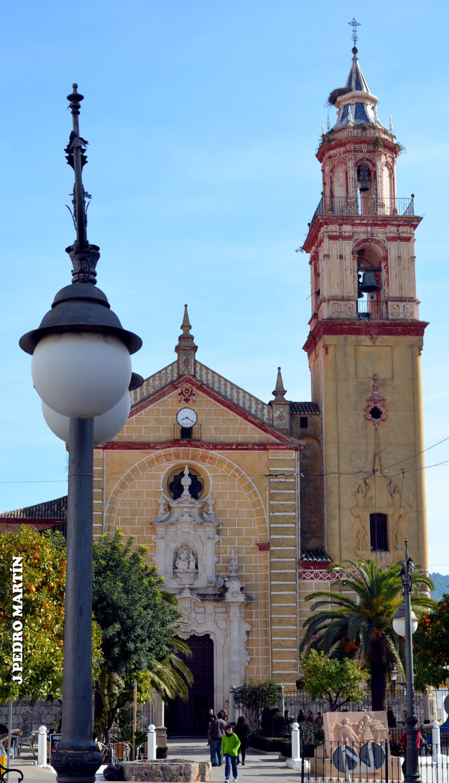 ALGODONALES - J PEDRO MARTÍN