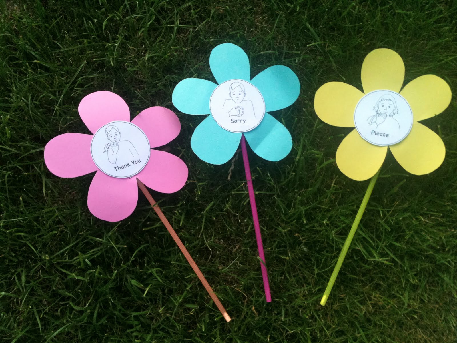 The Word Please And Thank You