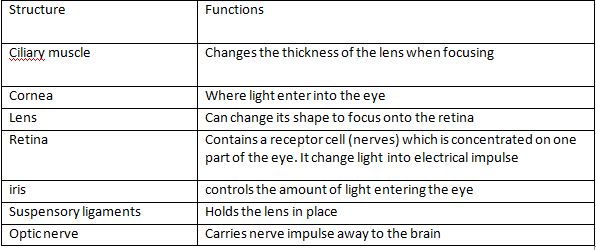 Numob's Biology: 2.86 Structure and Function of the eye