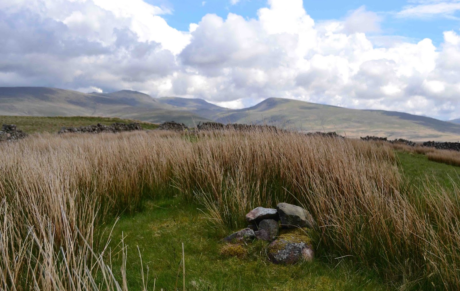 Phil and Jo's walking blog 2016