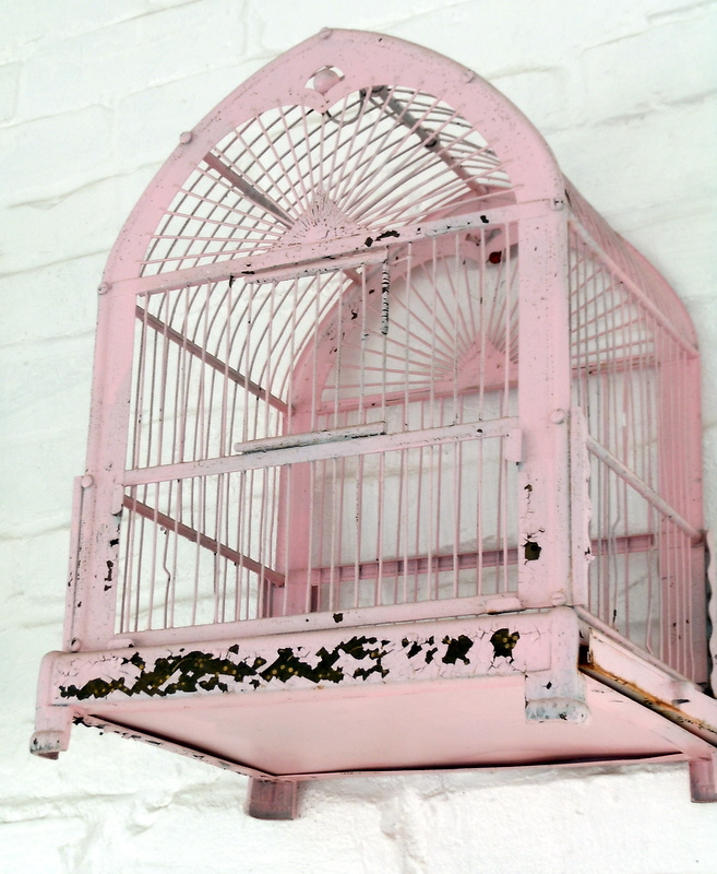 My Old Historic House: BIRDCAGES - Flights of Fancy
